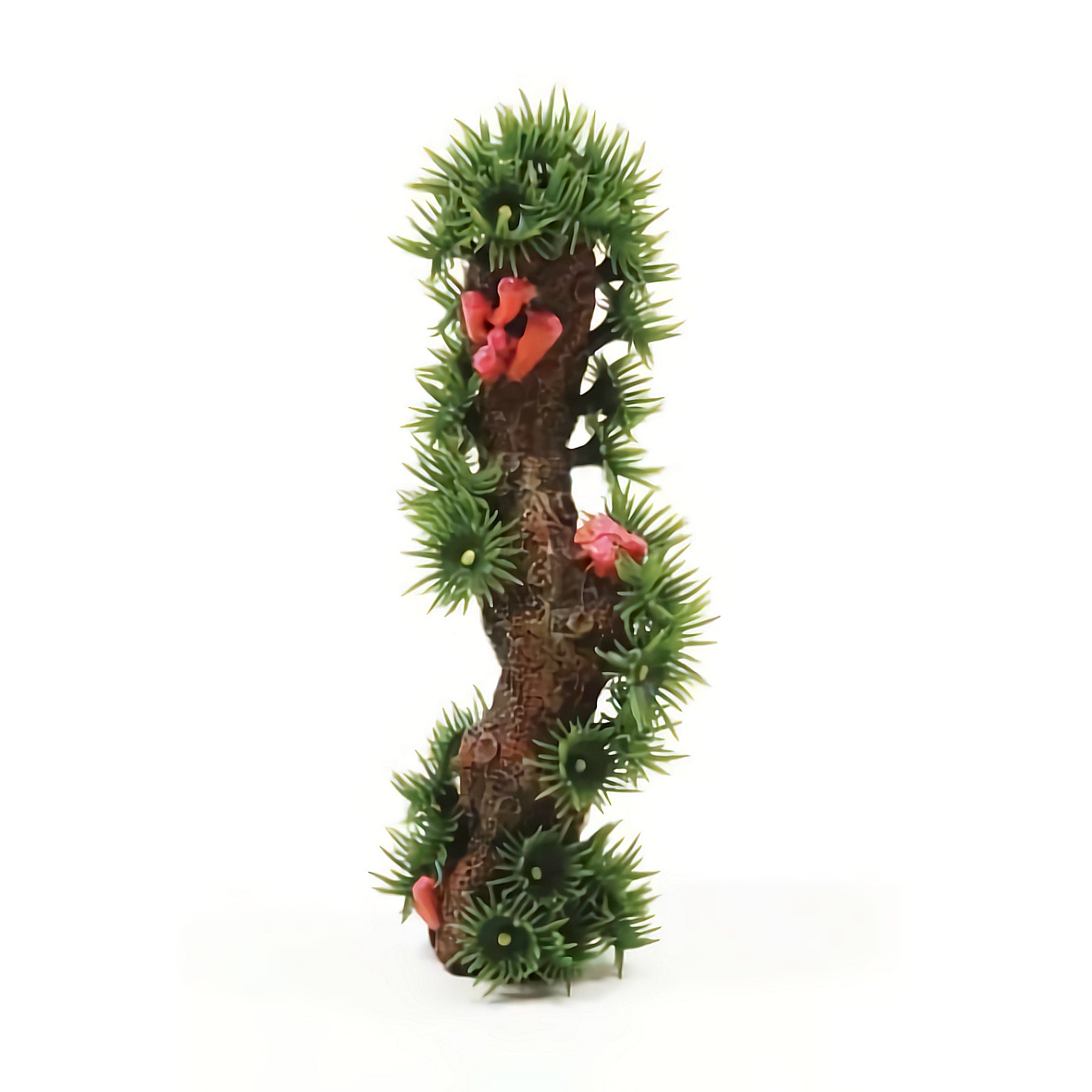 TMC Natureform Green Branched Polyp Coral Aquarium Ornament – Essex ...