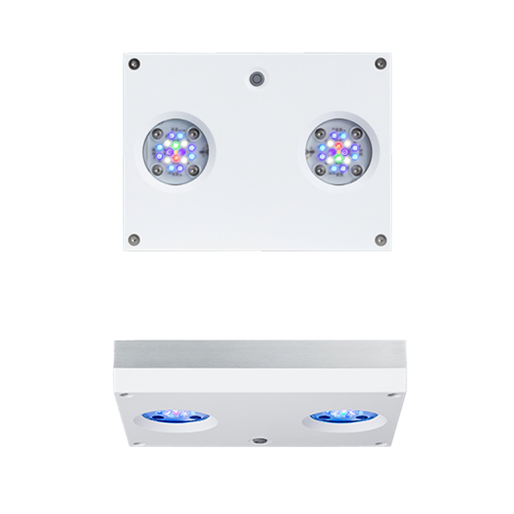 AI Hydra 32 LED Reef Light White – Essex Marine Aquatics